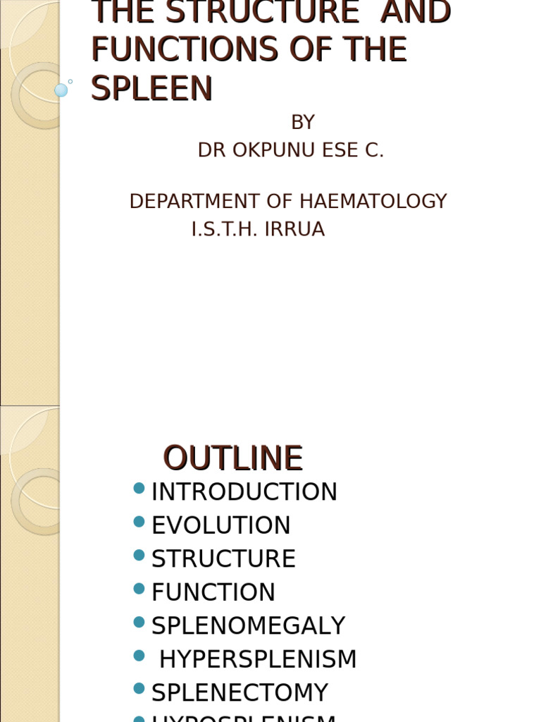 Structure and Functions of The Spleen and Lymph | PDF | Spleen ...