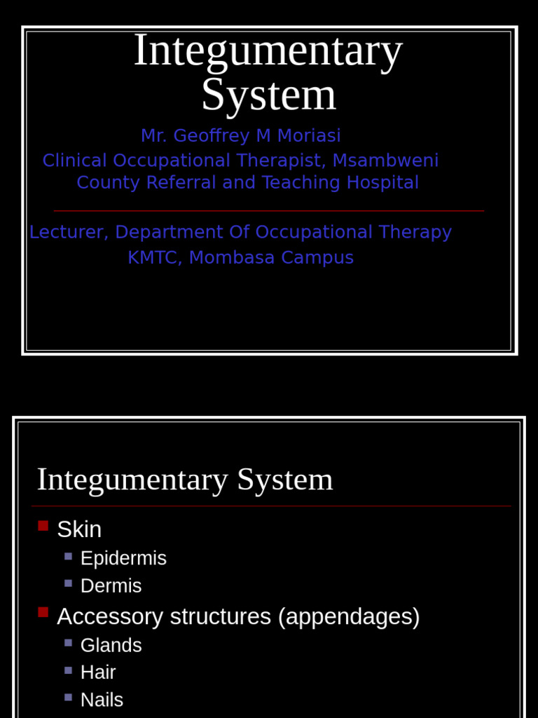 Integumentary System-PPT 2022.Pptx 11 | PDF | Epidermis | Integumentary ...