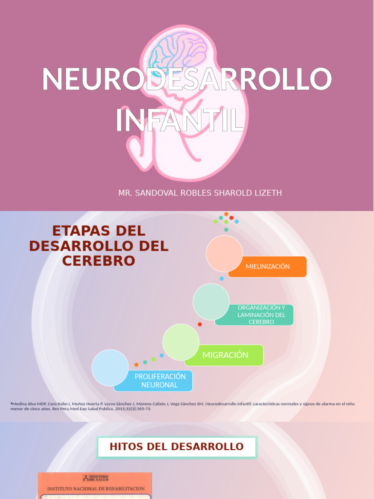 Guía de Neurodesarrollo Infantil | PDF | Neurociencia | Ciencia cognitiva