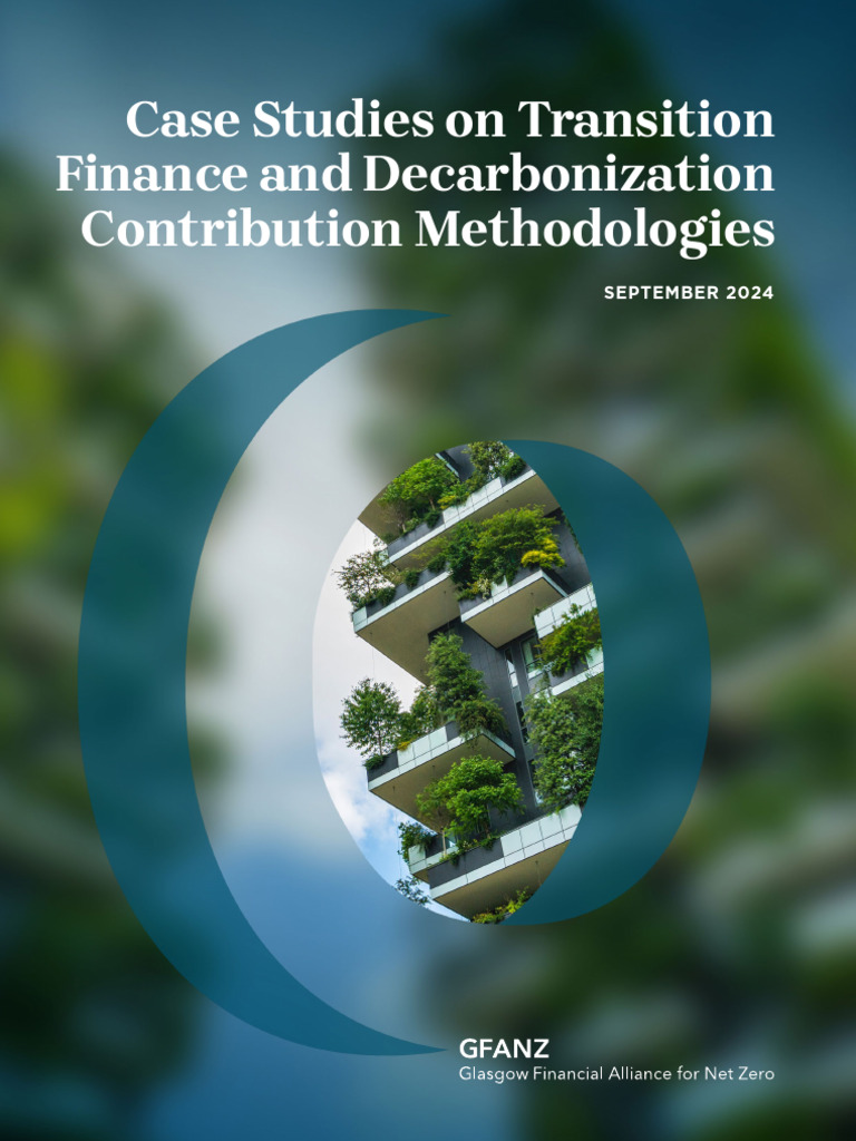 Case Studies On Transition Finance and Decarbonization Contribution Methodologies Sep 2024 | PDF ...
