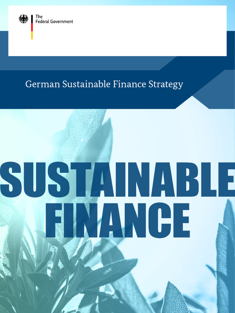 Sustainable Finance Strategy | PDF | Sustainability | Financial Markets