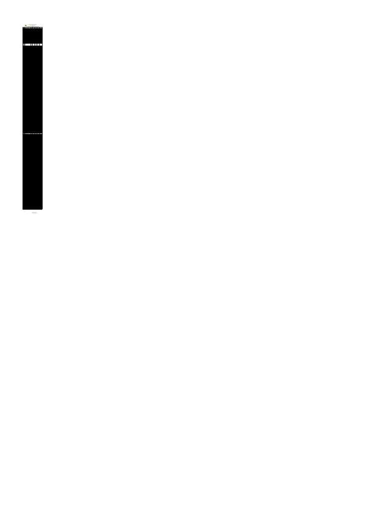Formato D-121 Actual | PDF