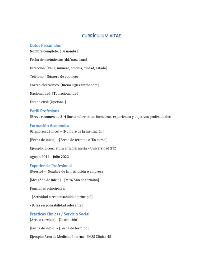Currículum Vitae Profesional Completo | PDF