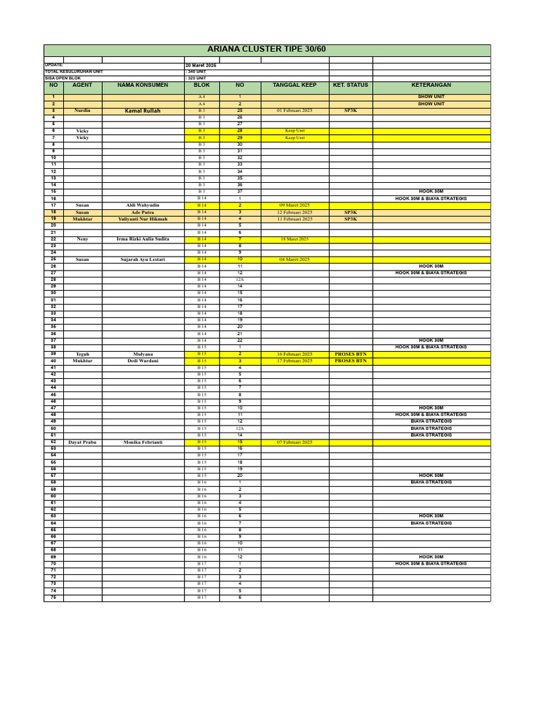 Ariana Cluster Stock Unit - Excel | PDF
