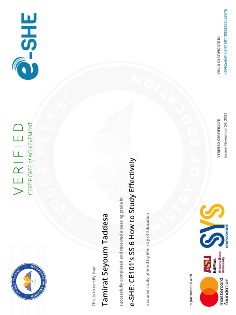 E-SHE CE101 Certificate _ Debre Tabor University | PDF