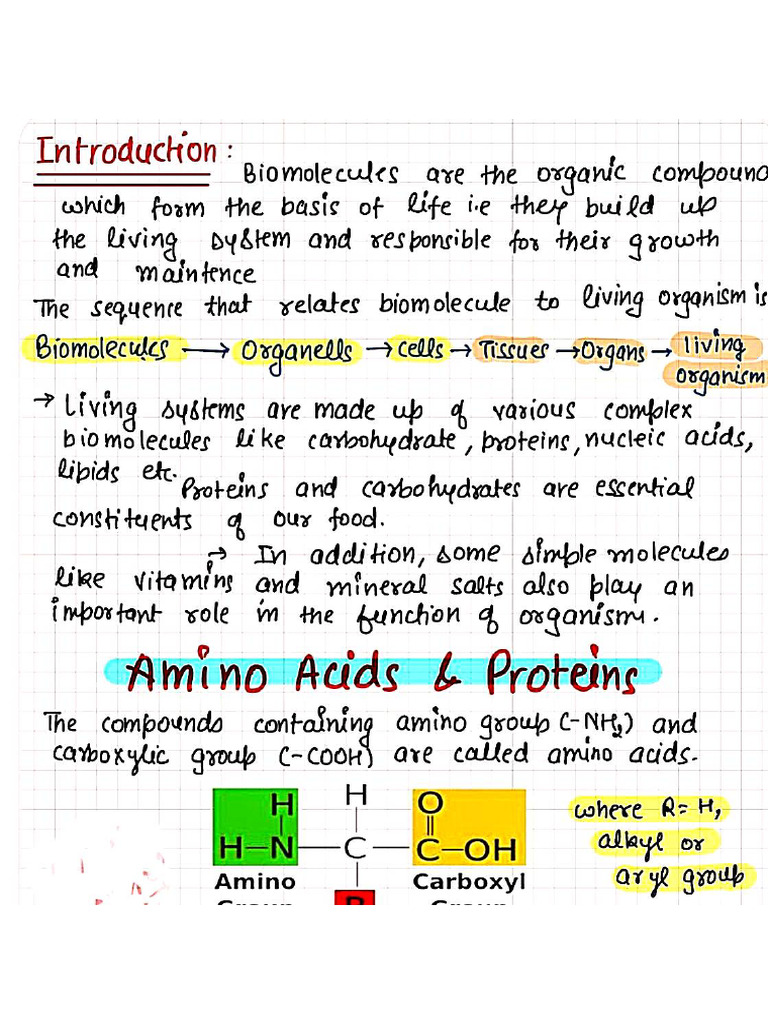 Biomolecules Chapter 10 | PDF