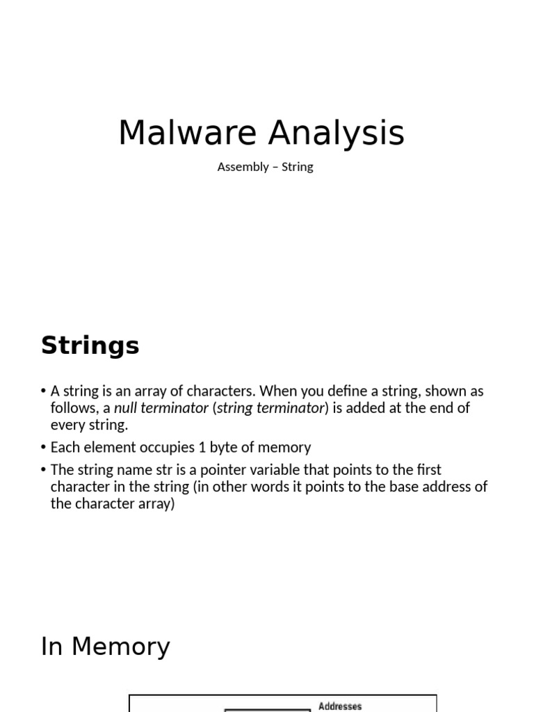 Malware Analysis | PDF