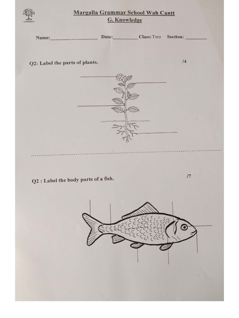 General Knowledge Practice Worksheets | PDF