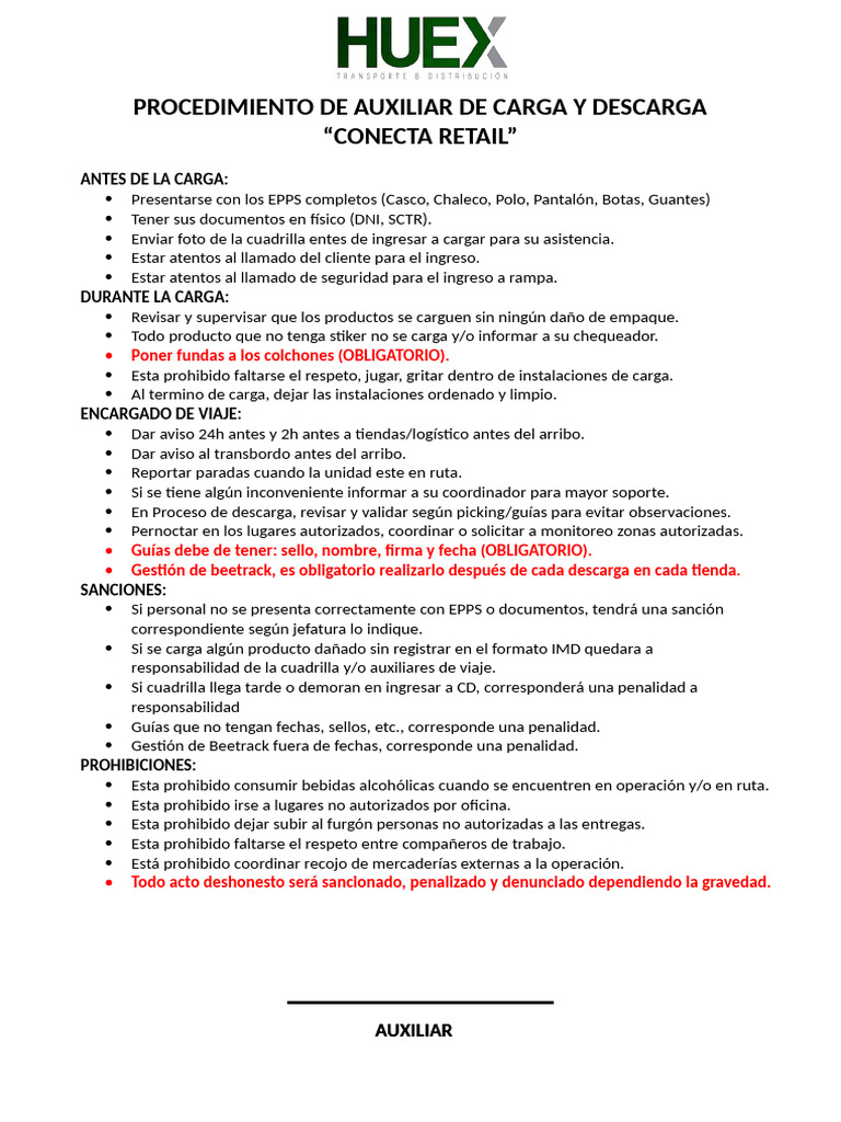 Proceso Carga Conecta 2025 | PDF