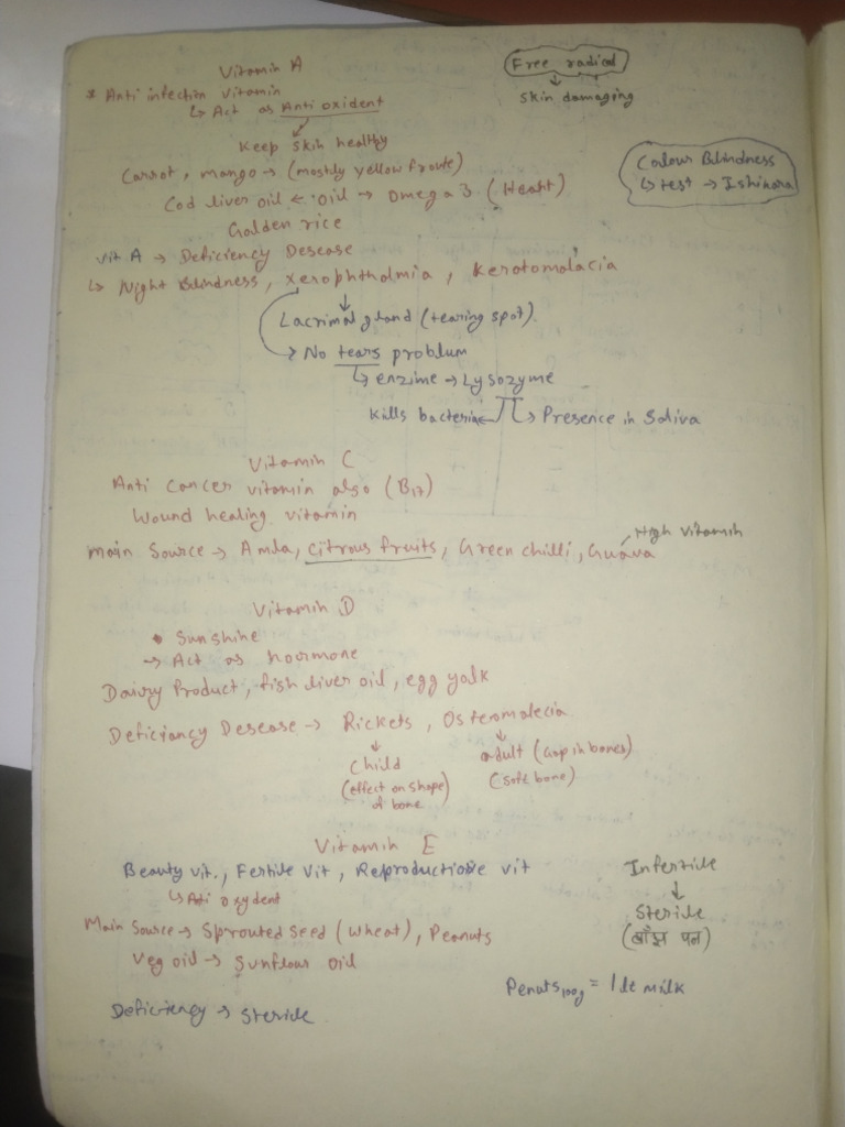 Biology Short Note4 | PDF