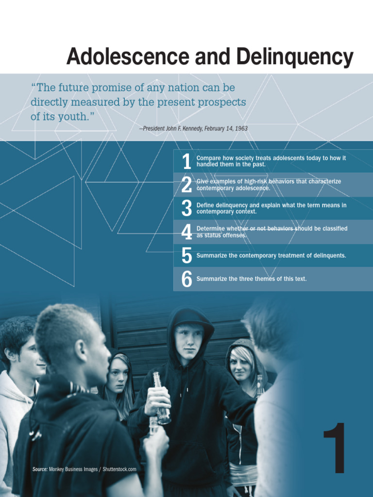 Adolescent Delinquency and Violence Impact | PDF | Juvenile Delinquency ...