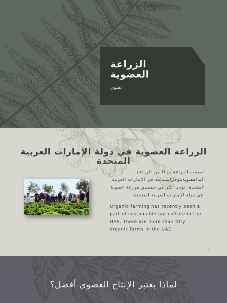 Arabic Project - Nashwa | PDF