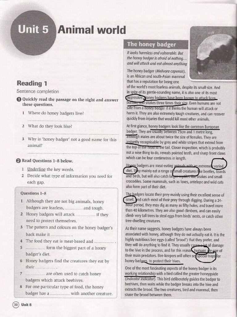 (WB) Unit 5 - Extra | PDF