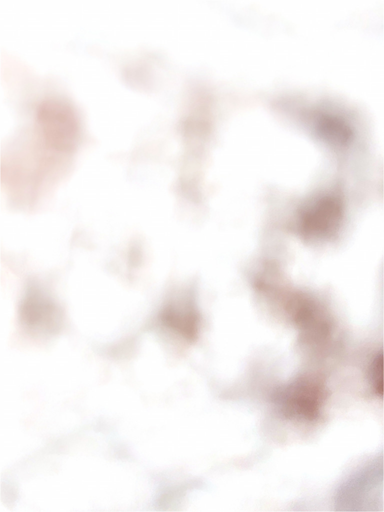 Taranmış Belge | PDF