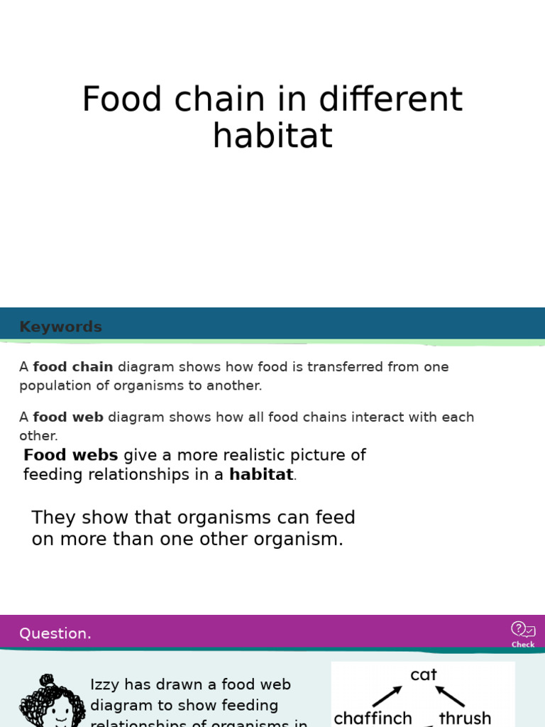 Food Chains and Webs in Habitats | PDF