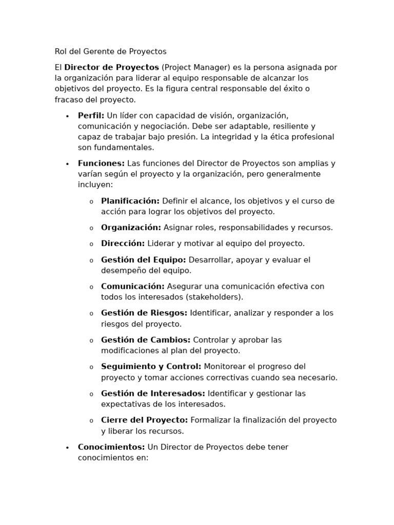 Rol Del Gerente de Proyectos | PDF | Gestión de proyectos | Business