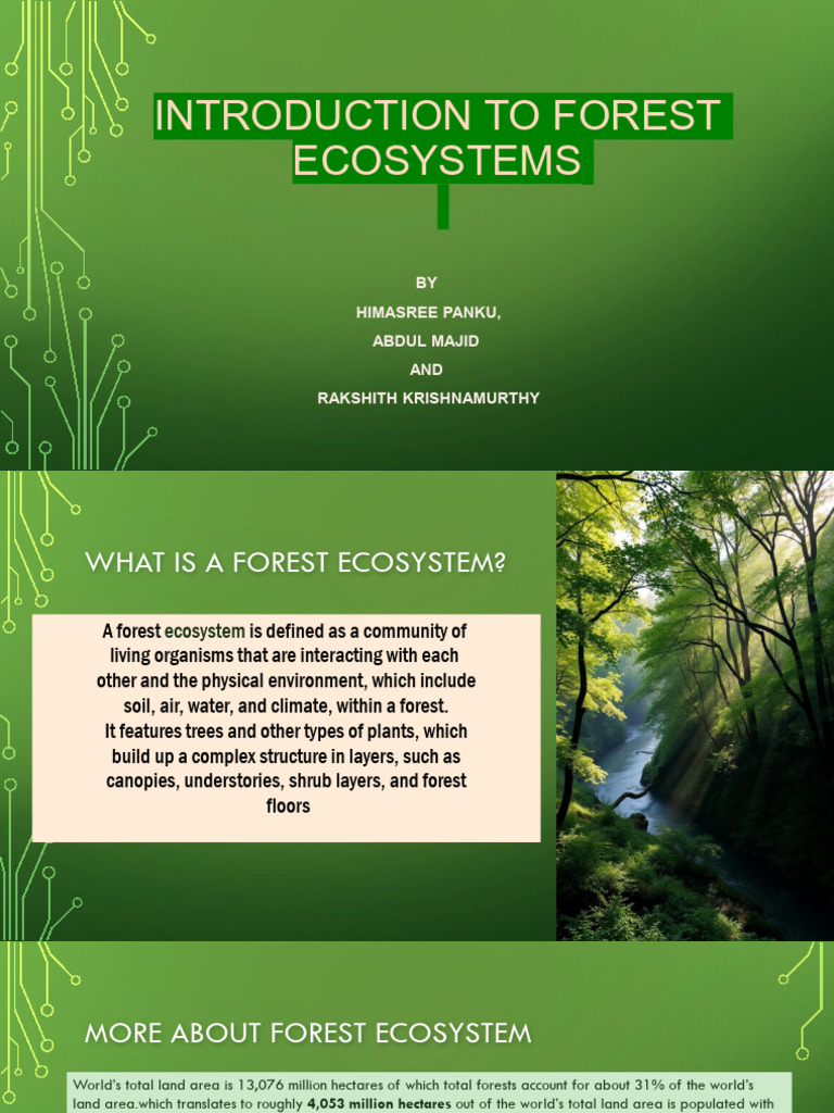 Introduction To Forest Ecosystems | PDF | Forests | Mangrove