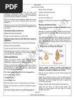Endocrine System Worksheet | PDF | Endocrine System | Hormone