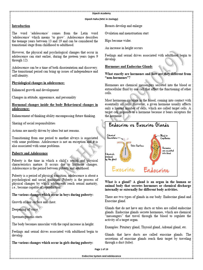 Endocrine System in Adolescent Development | PDF | Endocrine System ...