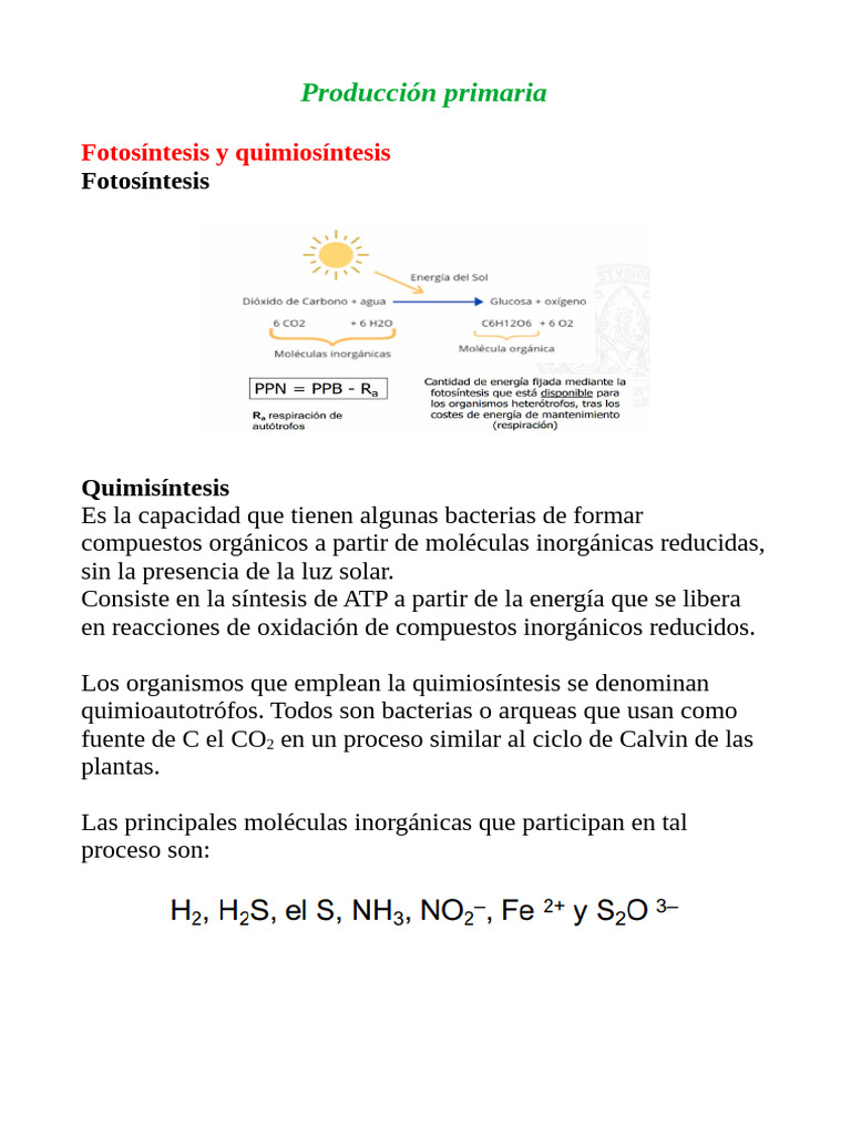 Tema 2 | PDF
