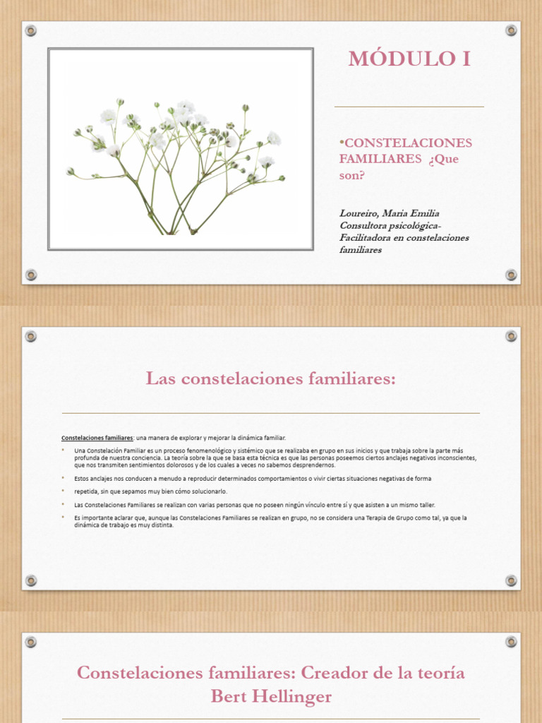 M-Dulo 1 CF Individuales | PDF | Desorden hiperactivo y deficit de atencion | Conceptos psicologicos