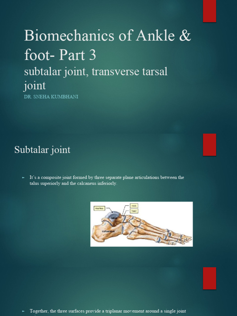 Subtalar Joint Mechanics Explained | PDF | Ankle | Joints