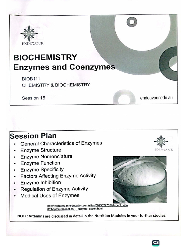 Enzyme 2 | PDF