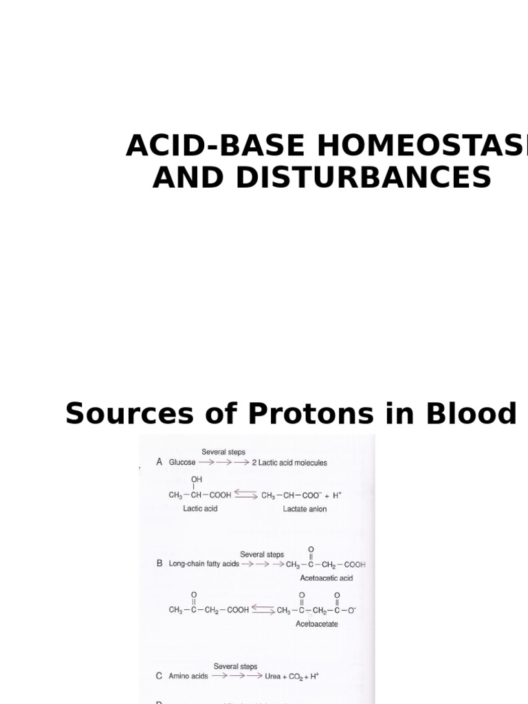 Acid Base Homeostasis | PDF