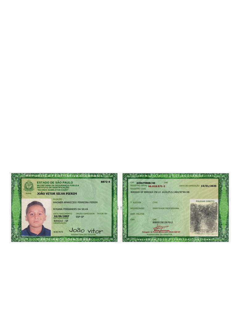 RG e Identidade de João Vitor 2007 | PDF
