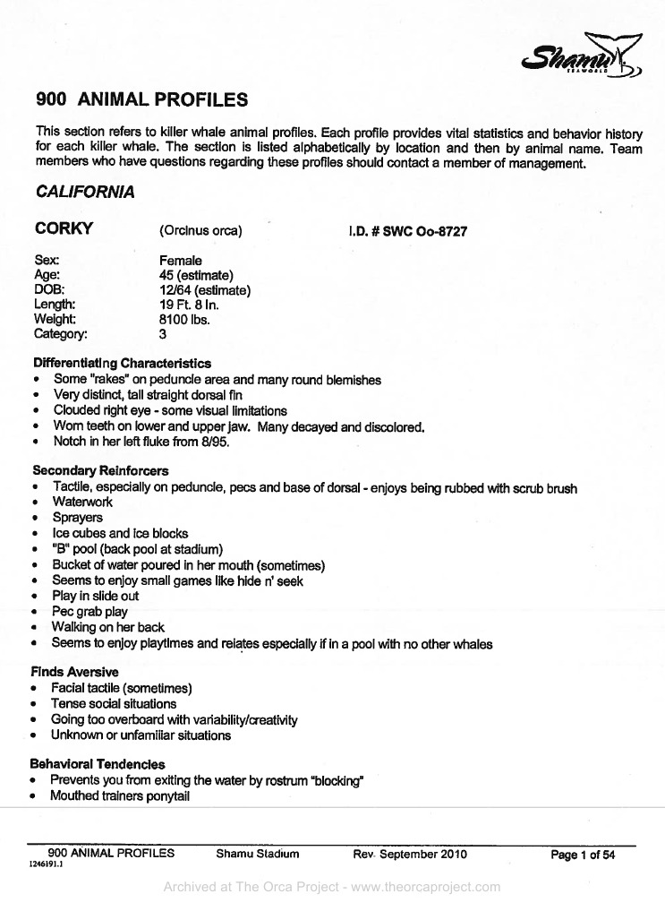 SeaWorld Orca Profile - Killer Whale Corky II 2010 | PDF
