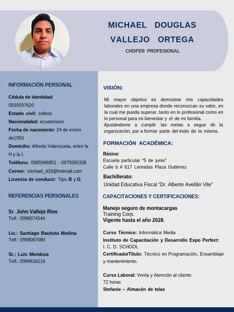 Curriculum Michael Vallejo Actual | PDF