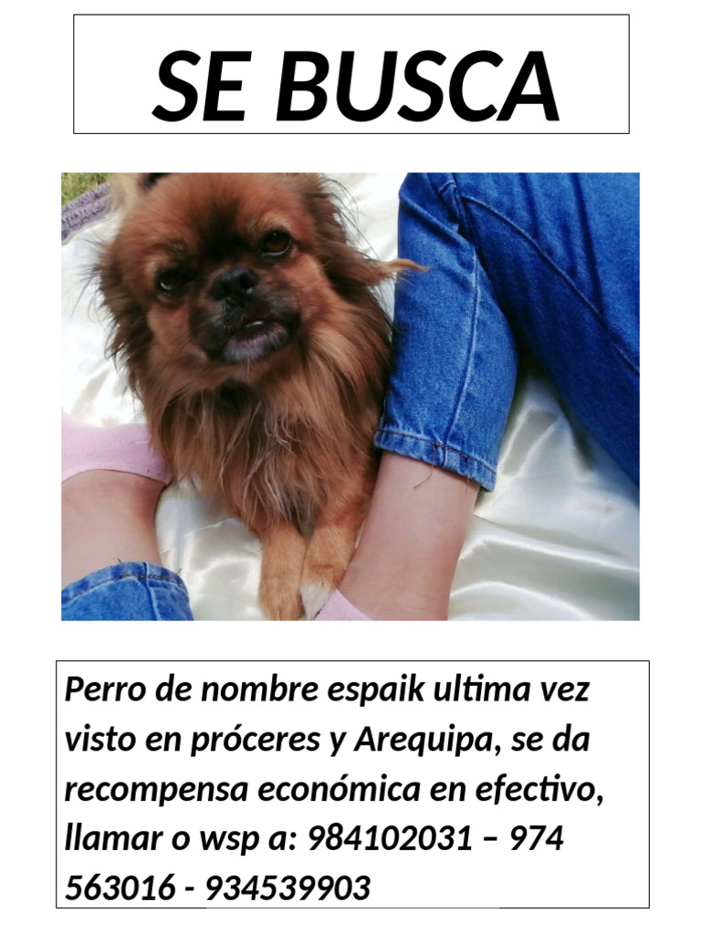 Spike | PDF