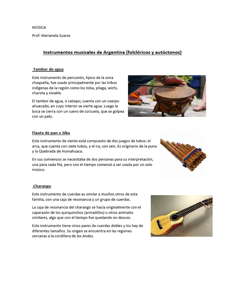 Instrumentos Musicales Típicos de Argentina | PDF | Instrumentos ...