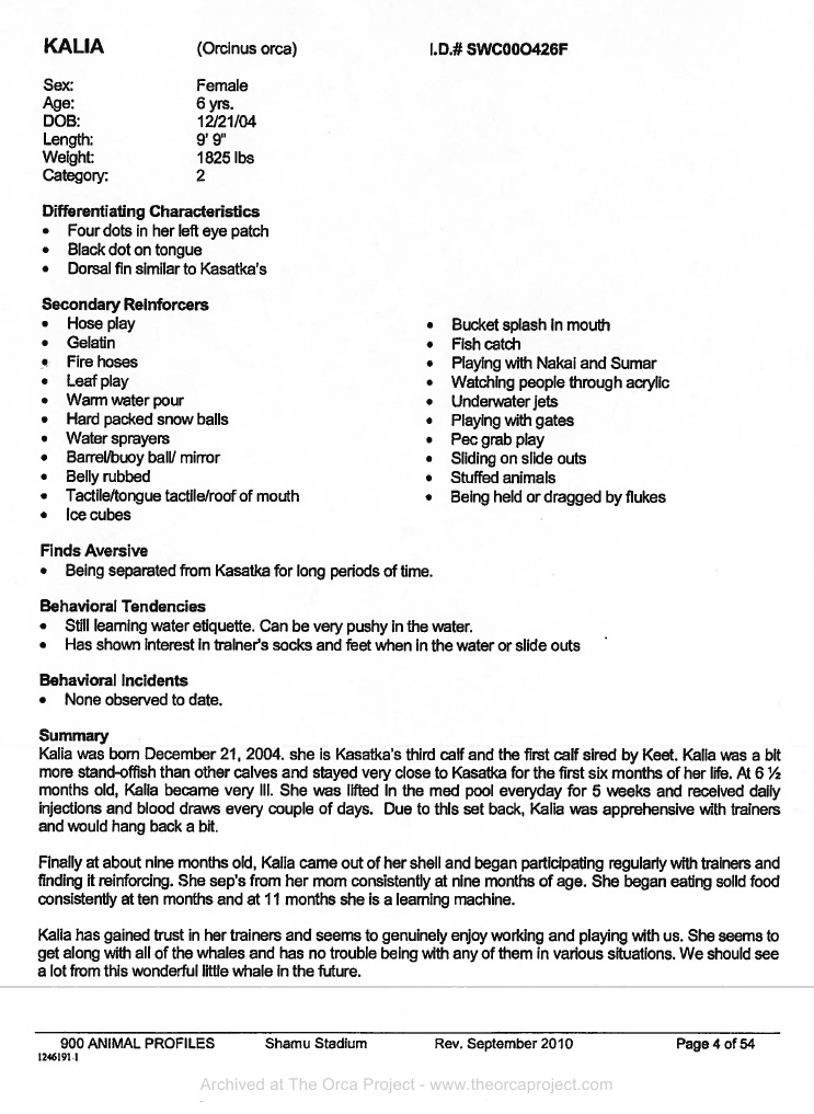 SeaWorld Orca Profile - Killer Whale Kalia 2010 | PDF