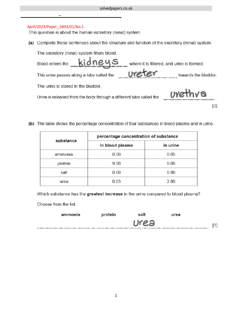 2023 Circulatory System Checkpoint - Sec - 1 | PDF