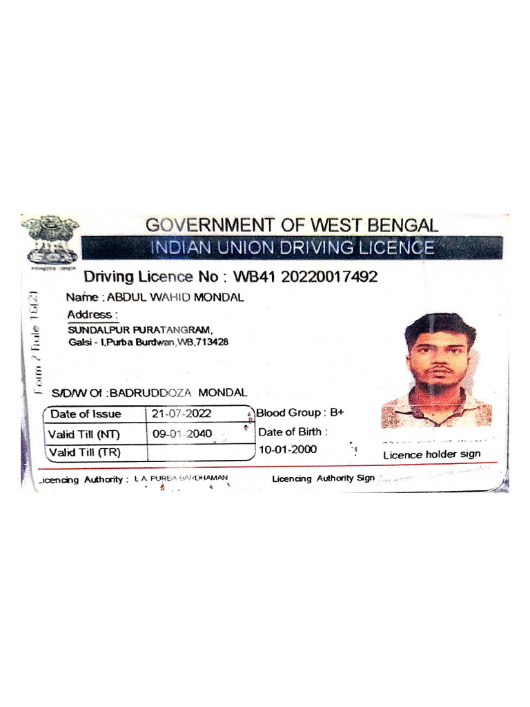 Driving Licence | PDF