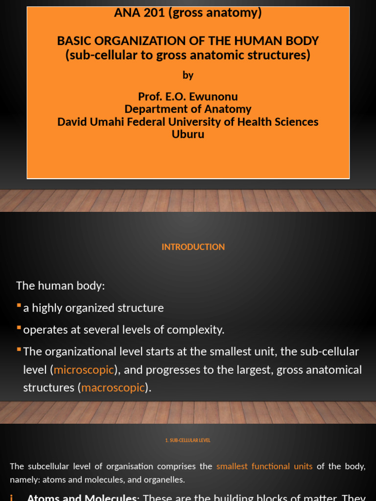 Basic Organization of The Human Body | PDF | Human Body | Cell (Biology)