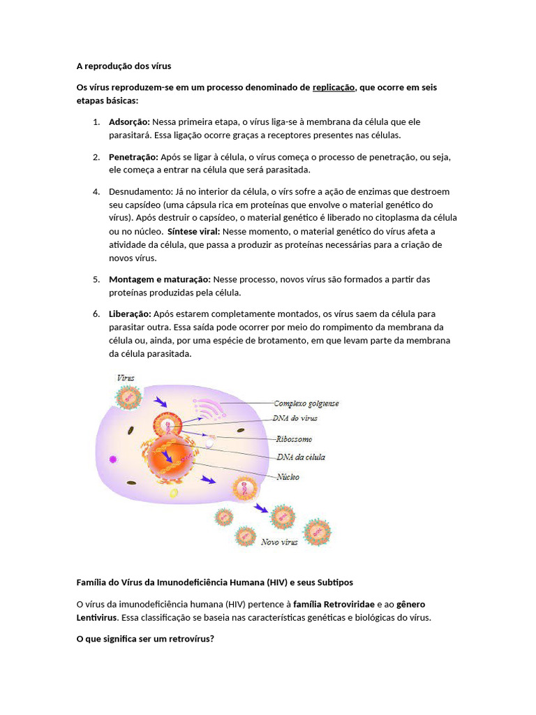 Fases da Replicação do HIV e Latência | PDF | Vírus | HIV