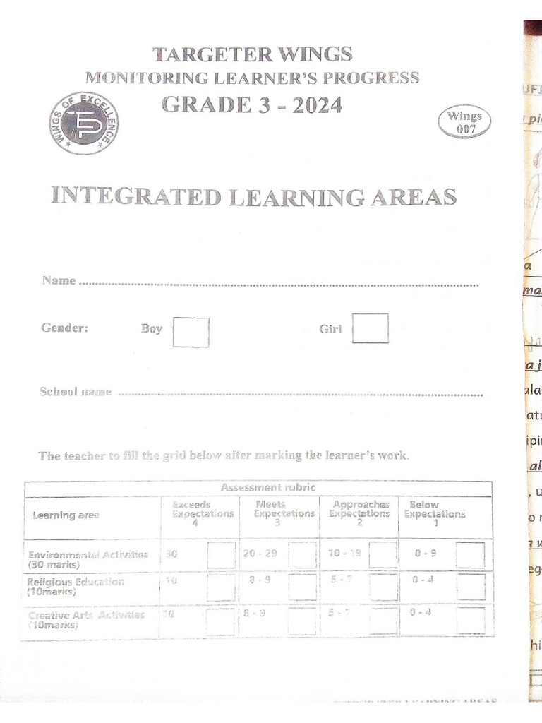 INTEG Grade 3 Targeter 007 | PDF