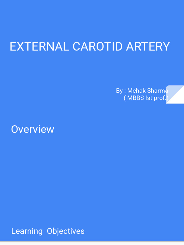 ECA Anatomy | PDF