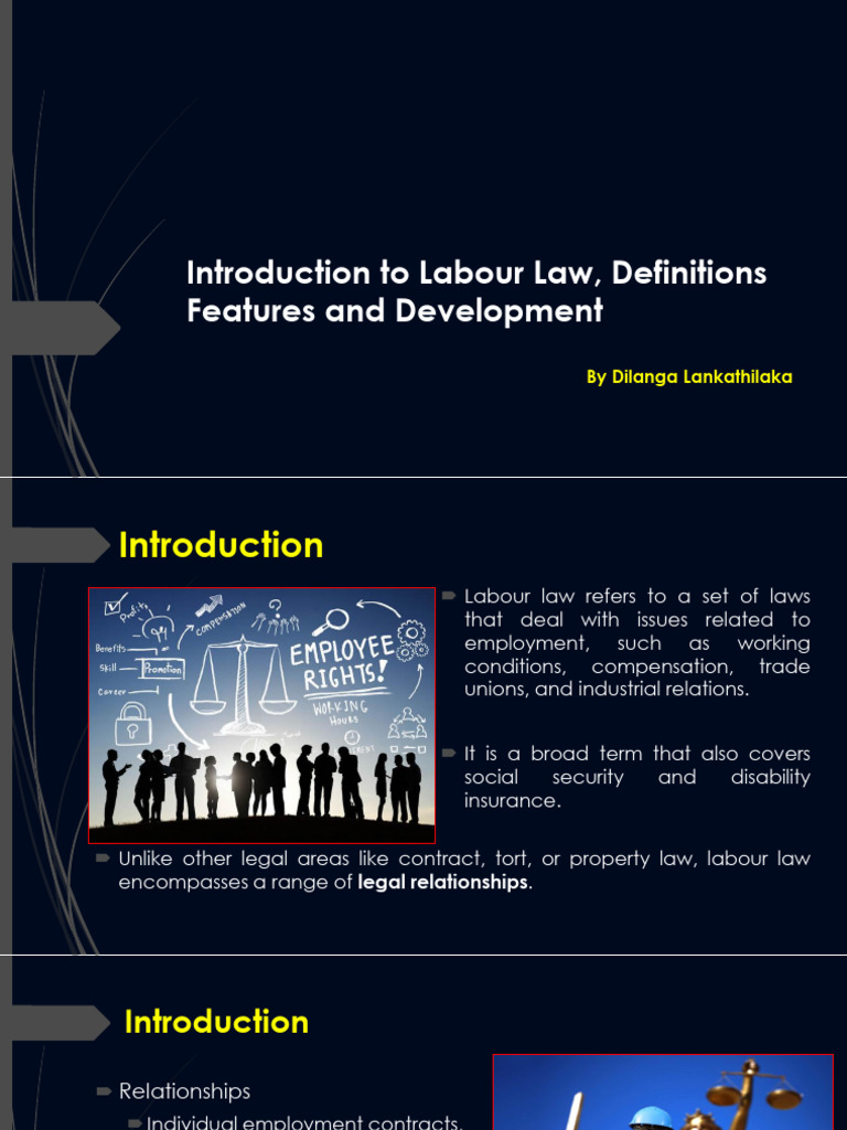 Overview of Labour Law in Sri Lanka | PDF | Labour Law | Employment