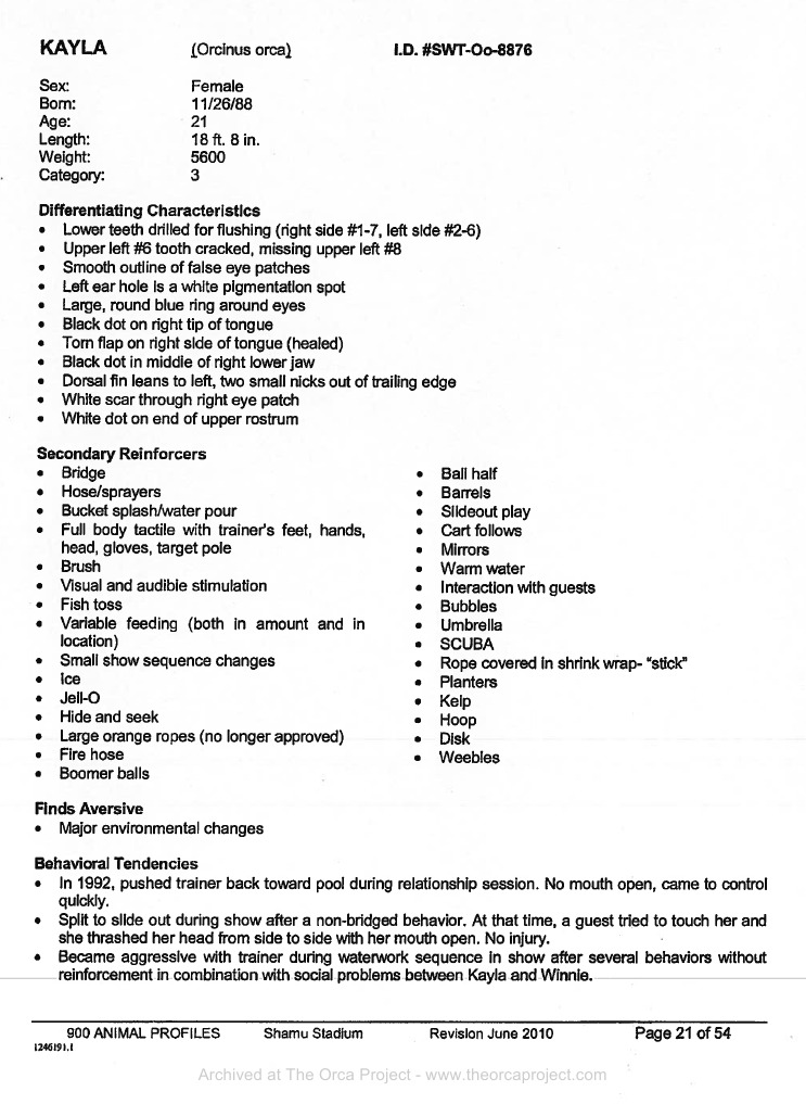 Orca Profiles and SeaWorld Insights | PDF