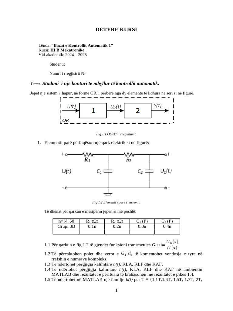 DETYRË KURSI_2024_2025 III B | PDF