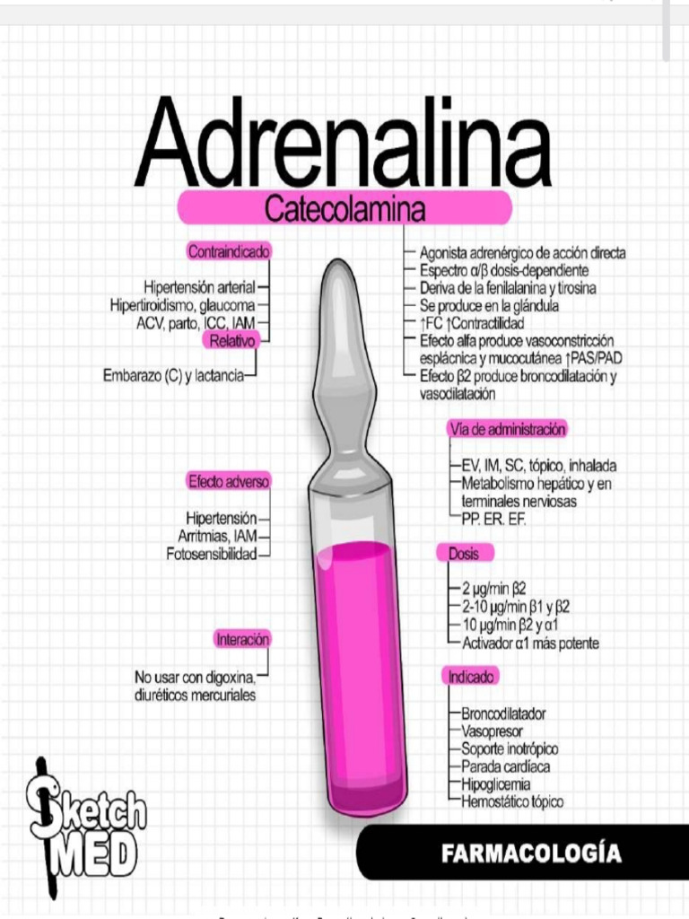 Adrenalina Práctico | PDF