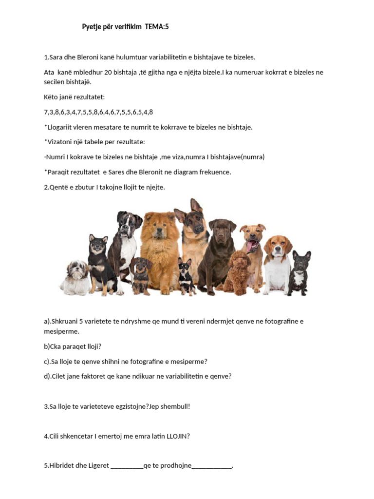 Pyetje Për Verifikim TEMA 5..klasat e 8 | PDF