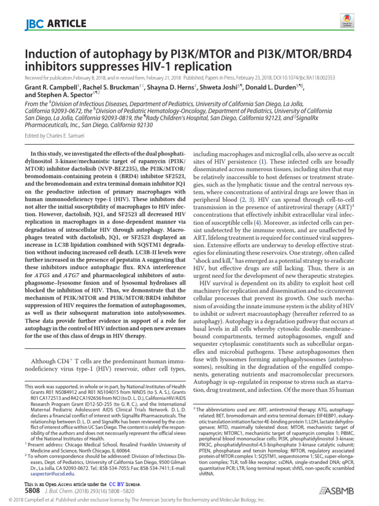 Induction of Autophagy by PI3K:MTOR and PI3K:MTOR:BRD4 Inhibitors ...