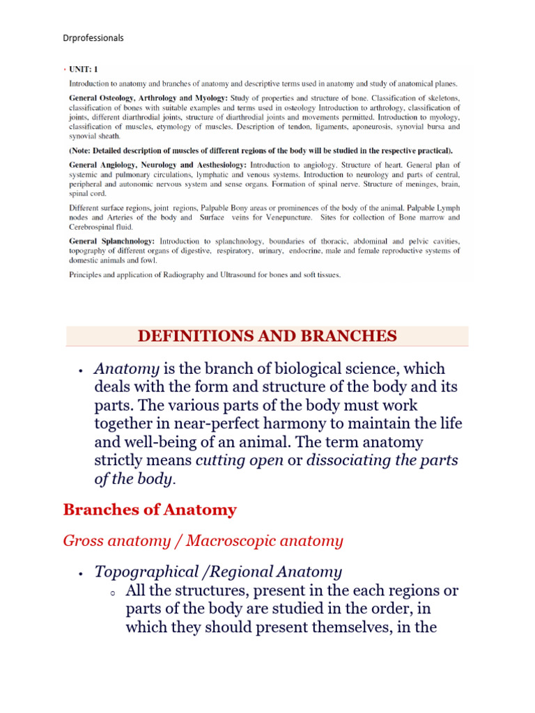 Anatomy: Definitions and Branches Overview | PDF | Anatomical Terms Of ...