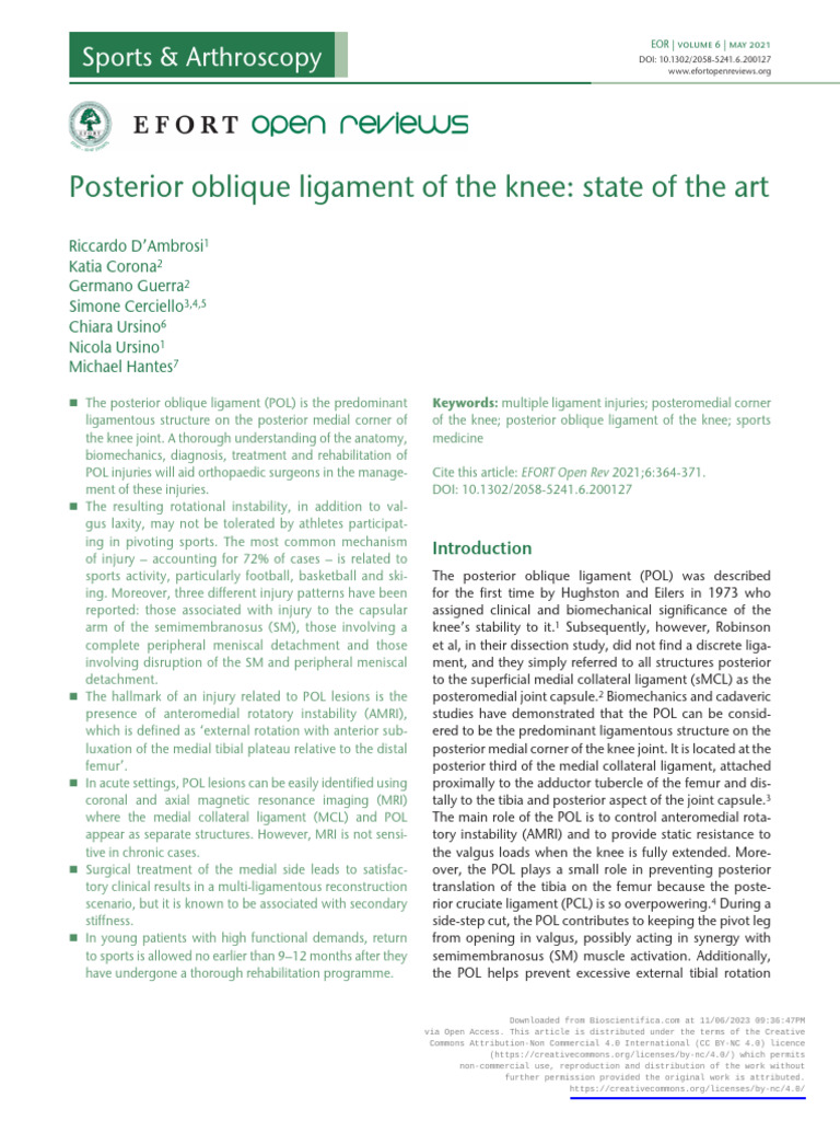Understanding the Posterior Oblique Ligament | PDF | Knee | Lower Limb ...