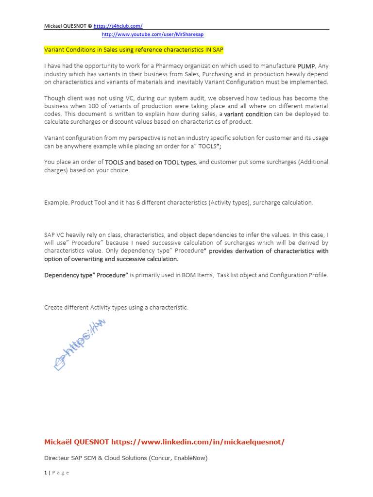 SAP VC in Sales Using Reference Characteristics | PDF | Software ...