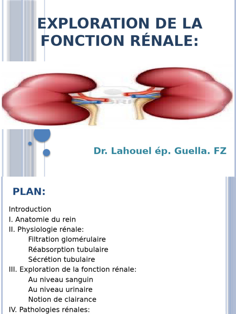 Exploration de la fonction rénale détaillée | PDF | Rein | Spécialités ...